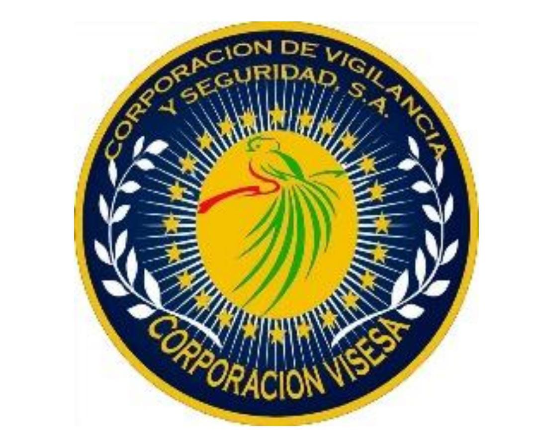 visesa – Seguridad Privada